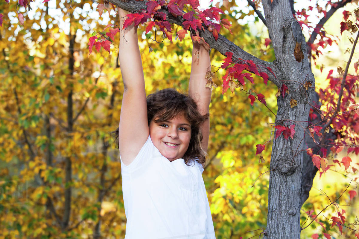 A young girl hanging from a tree in a park in autumn; Edmonton, Alberta ...
