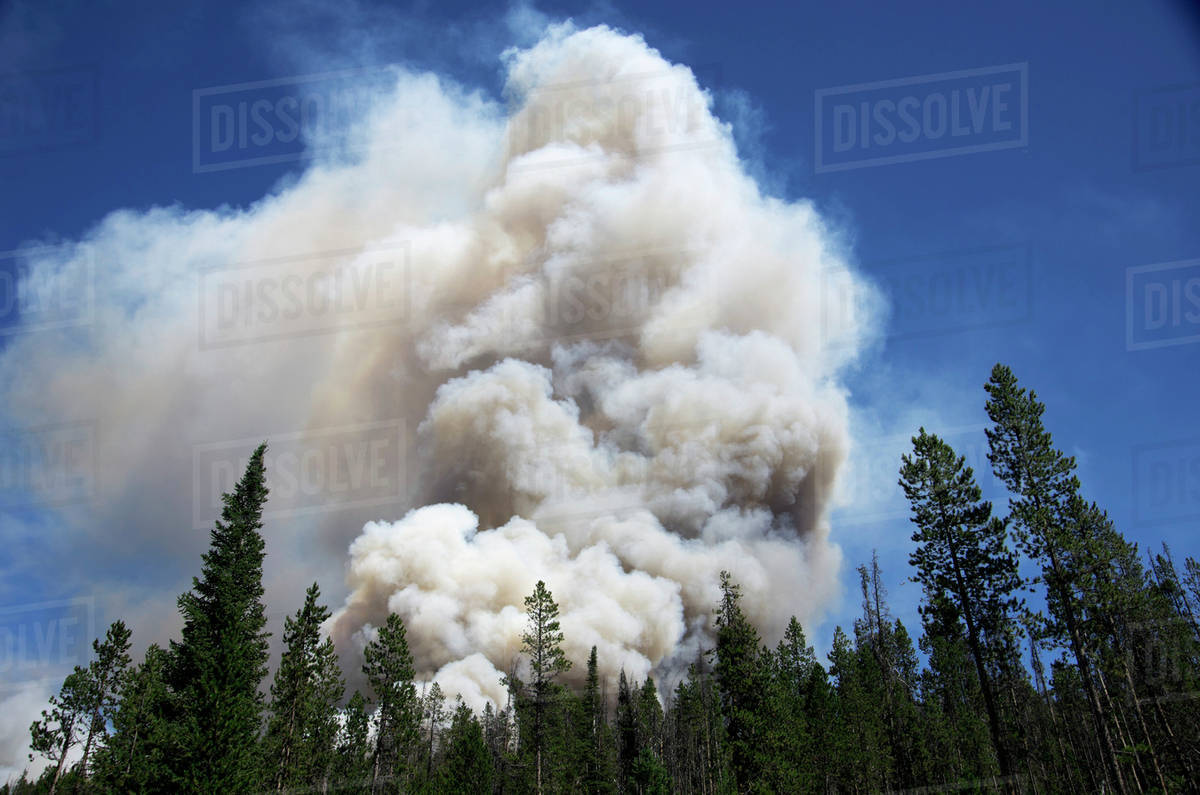 Forest fire beginning near Redfish lake; Stanley, Idaho, United States ...