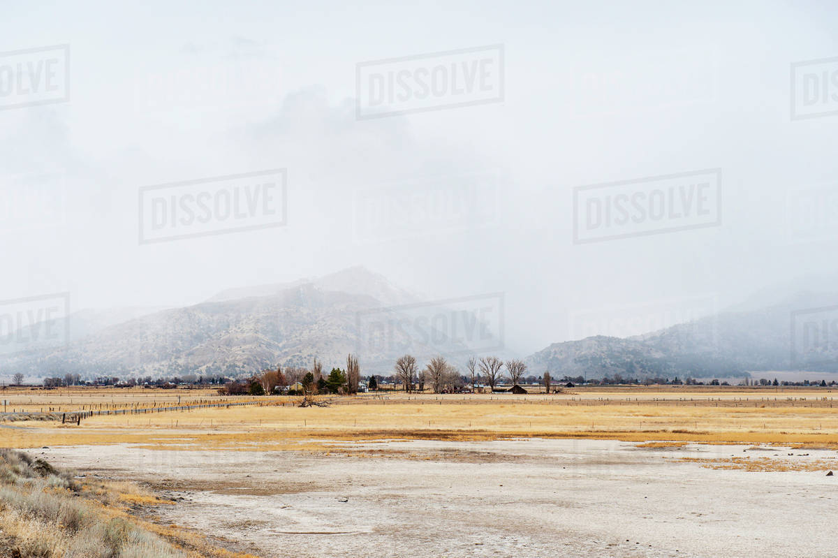 Snow storm in Cedar Pass over Warner Mountains, Modoc County ...