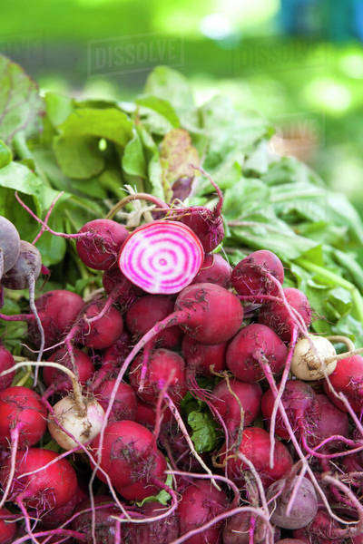 Candy-striped, heirloom Chioggia Beets at a farmers market; Toronto ...