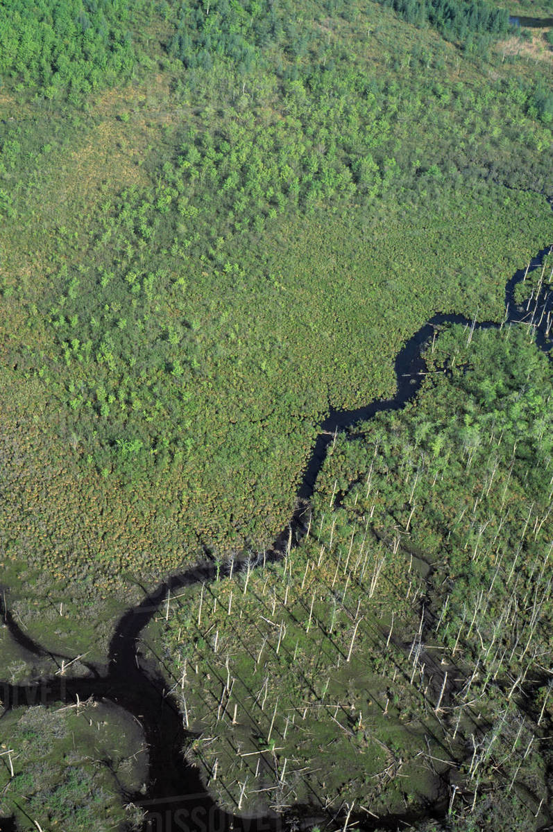 Aerial View Of Schenob Brook Wetlands - Stock Photo - Dissolve