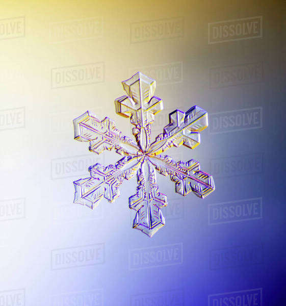 Photo-microscope view of a real snowflake showing the classic 6-sided ...