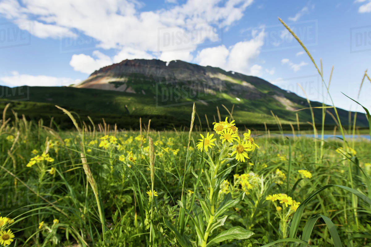 Hallo Bay, Katmai Naional Park, Alaska Peninsula; Southwest Alaska ...