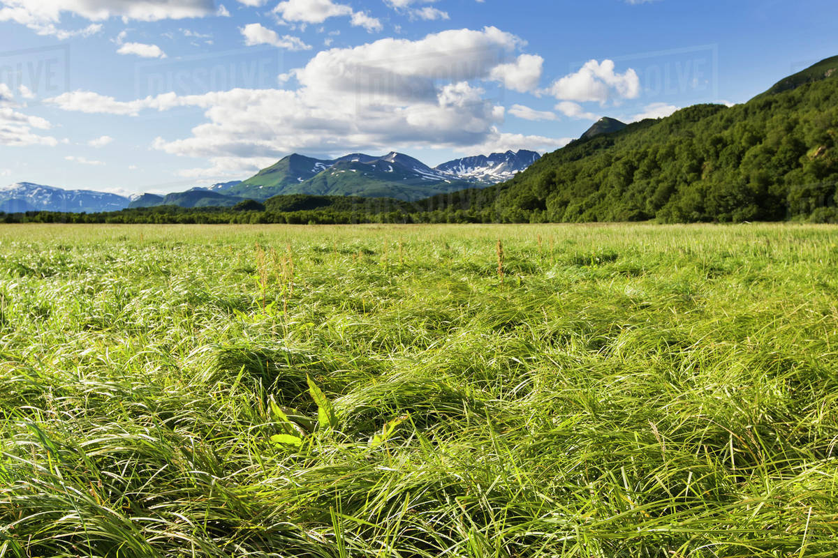 Hallo Bay, Katmai Naional Park, Alaska Peninsula; Southwest Alaska ...