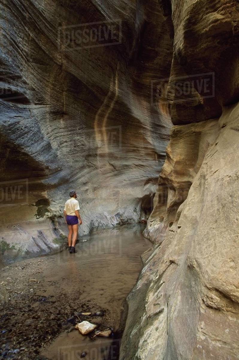 Adult Male Examining Sandstone Formation In Narrow Canyon, Orderville ...