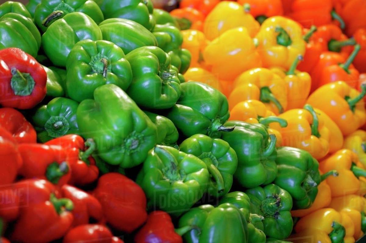 Bell Peppers (Capsicum Annuum) - Royalty-free Stock Photo | Dissolve