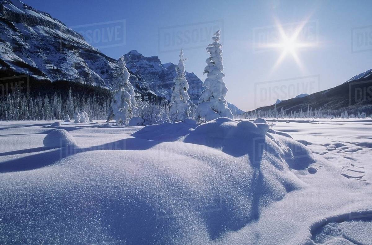 Snow Covered Landscape, Banff National Park, Banff, Alberta, Canada ...