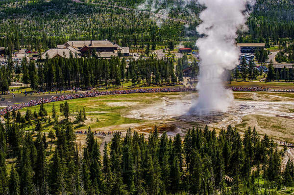 Old Faithful erupting in the Upper Geyser Basin of Yellowstone National ...