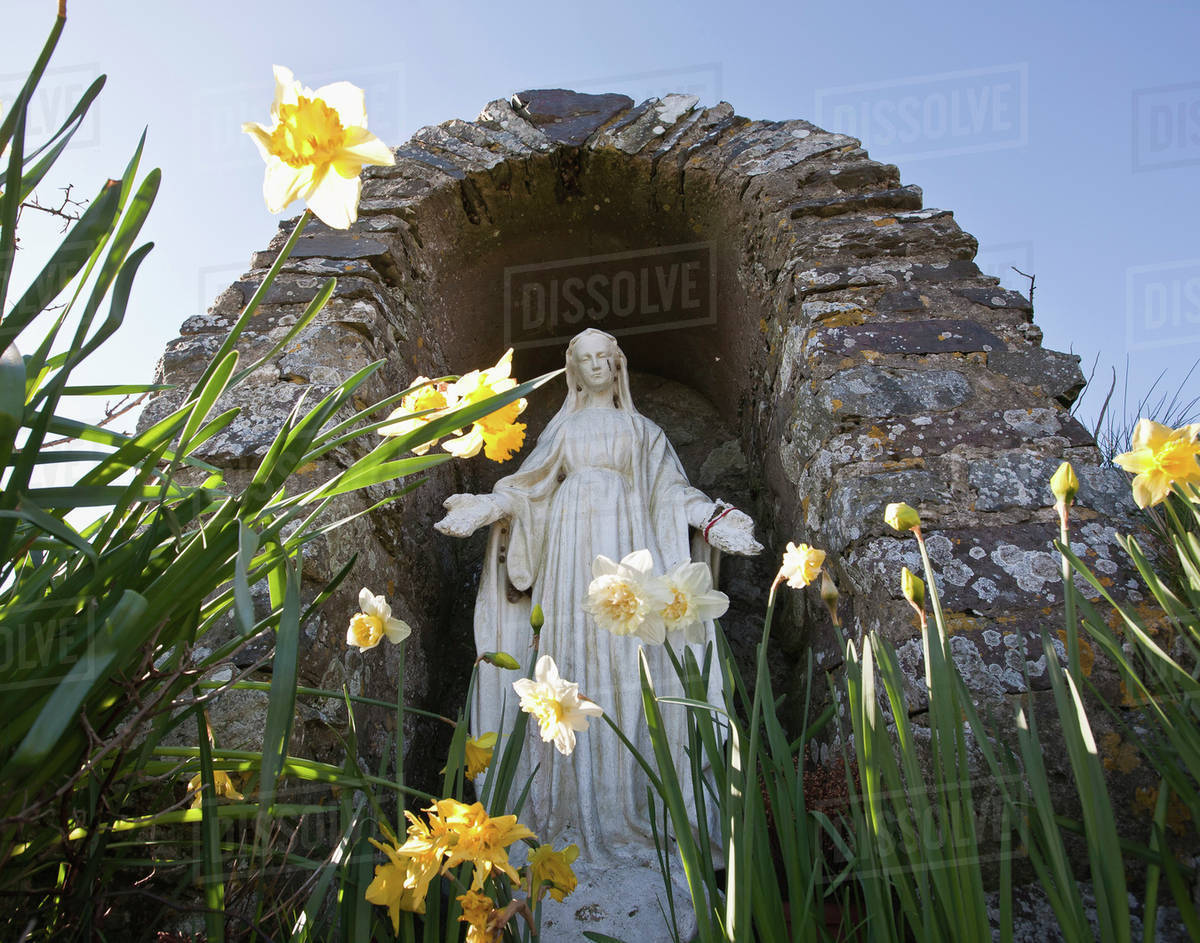 A religious statue inside an arch stone structure and daffodils growing ...
