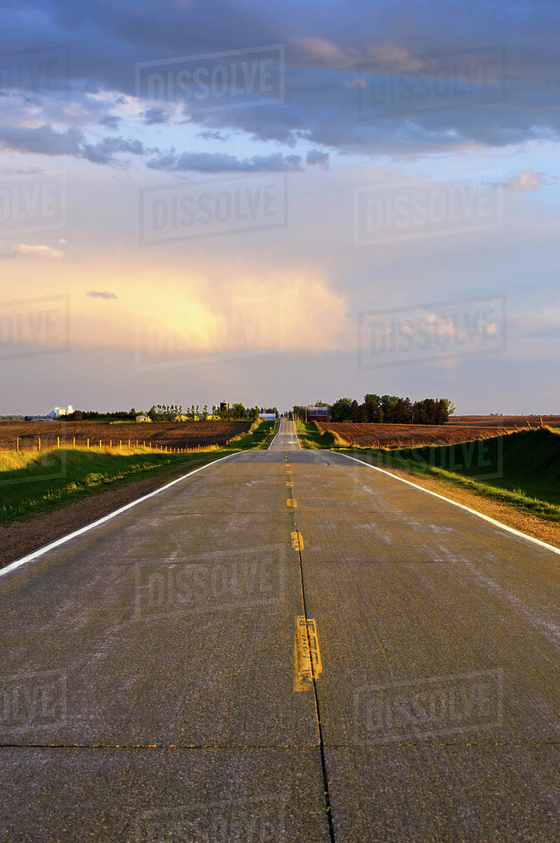 Agriculture - Crisp sunlight defines a rural country road and ...