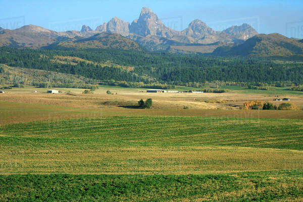 Agriculture - Ranch land and buildings with the Grand Teton mountains ...