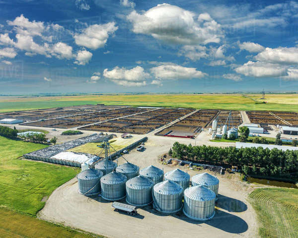 Aerial view of rows of large metal grain bins with cattle stockyard in ...
