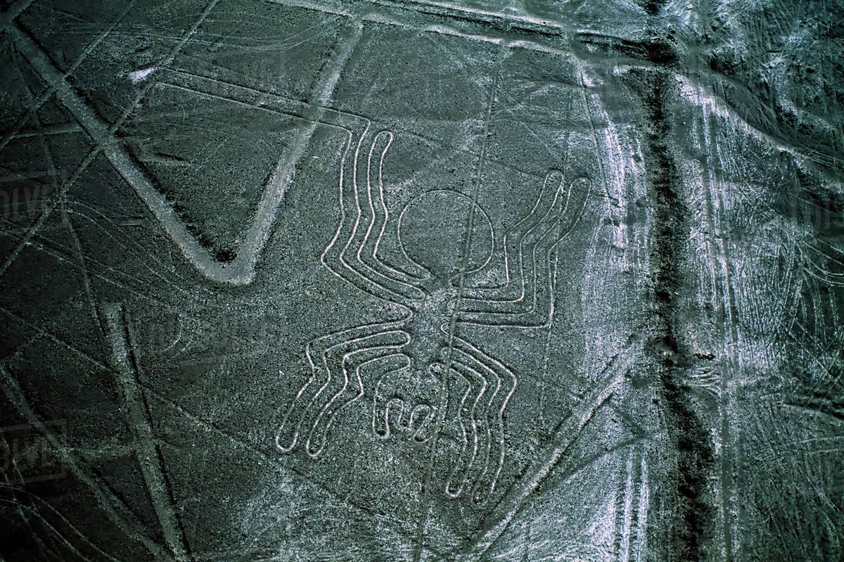 Mysterious Nazca lines form a spider, one of many animal and geometric ...