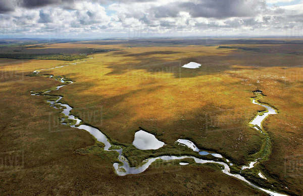 Braided river ecosystem snakes through the tundra and is used by salmon ...