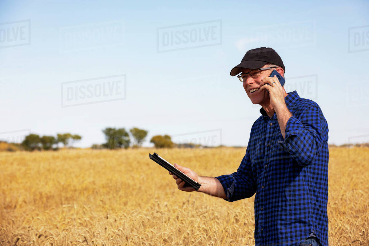 Farmer using a tablet to manage his harvest and talking on his cell ...