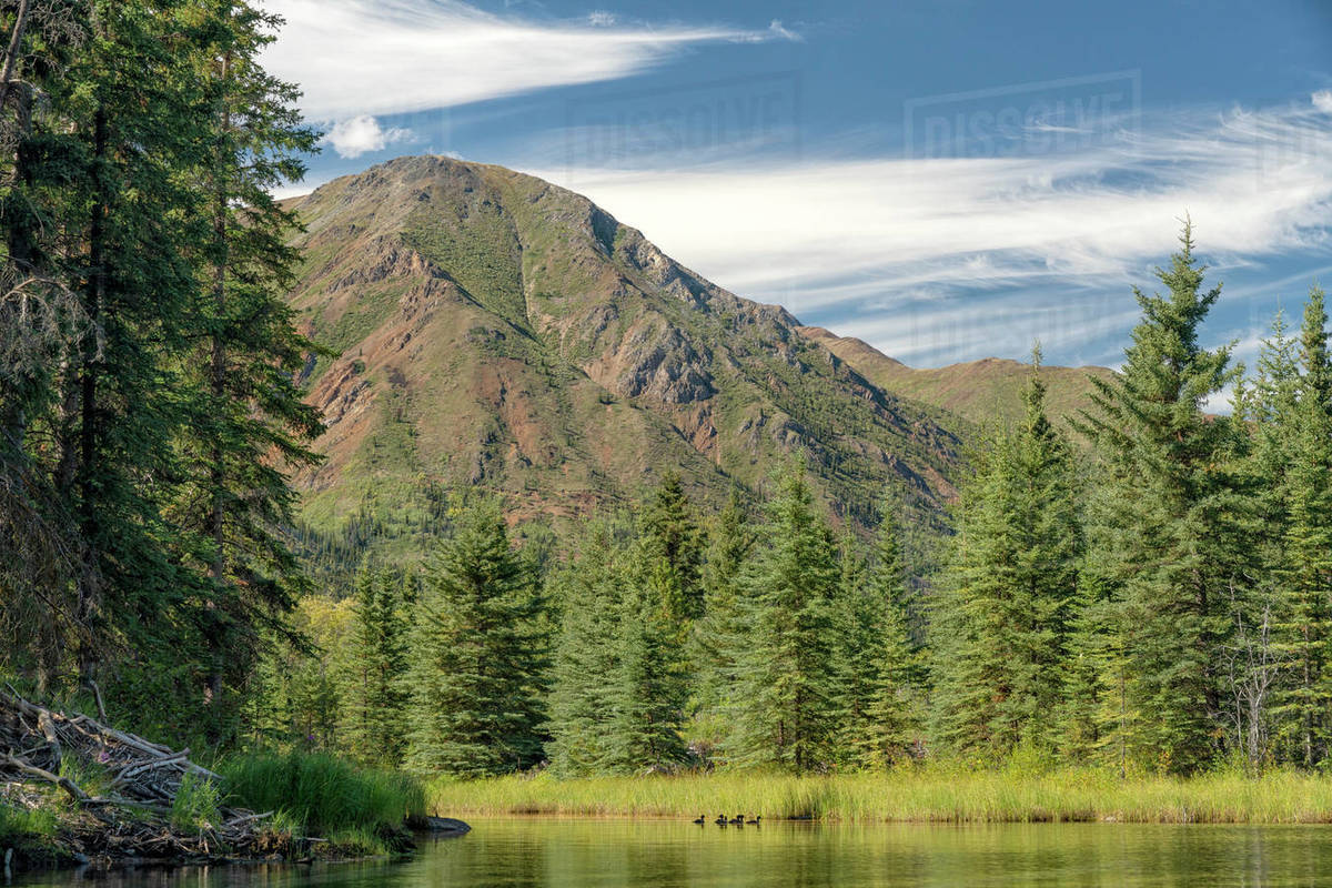 Beautiful scene of the mountains around Annie Lake, Yukon. A small ...