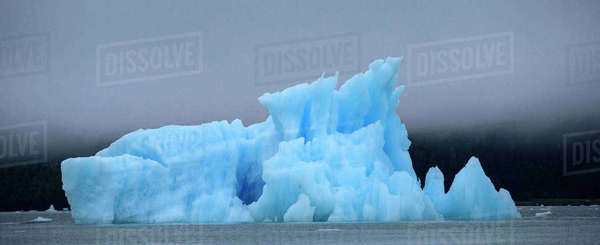 Large blue iceberg floating in the fog in the Inside Passage that came ...