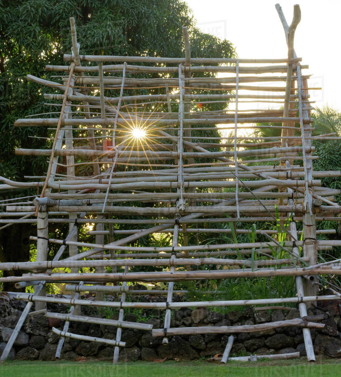 Close-up of the framework of a traditional wood, pole structure ...
