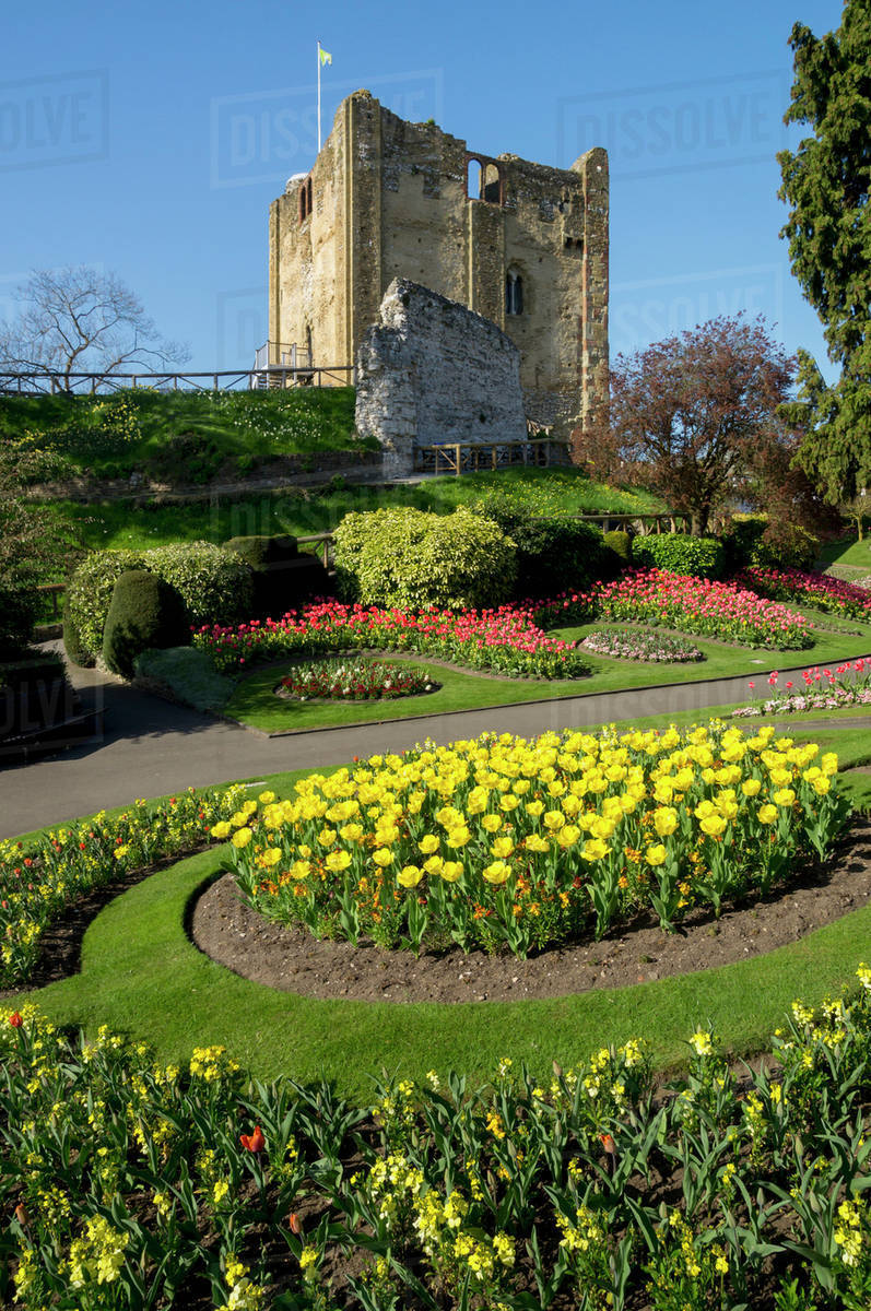 Guildford Castle; Guildford, Surrey, England - Royalty-free Stock Photo ...