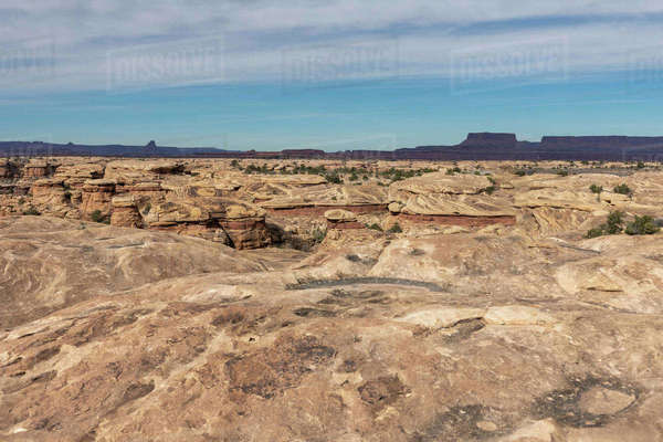 Hardened flowing rock at Canyonlands National Park, Utah; Moab, Utah ...