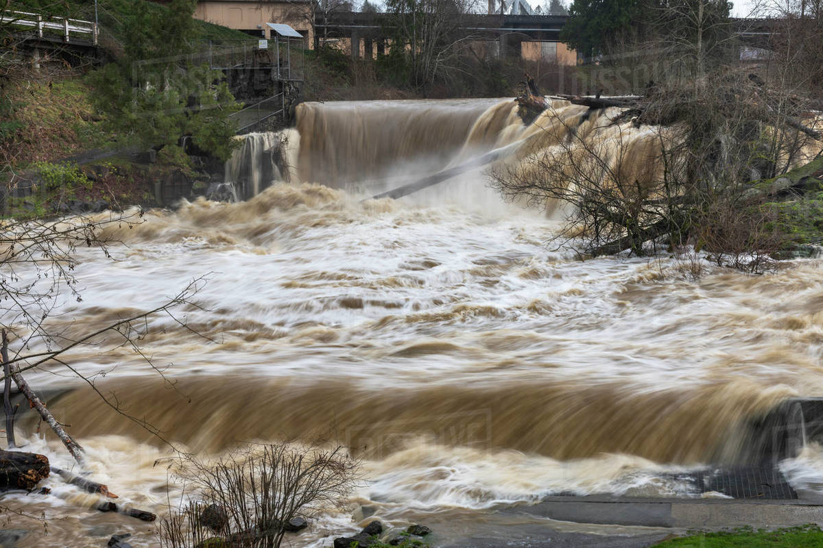 Flooding waters at the Tumwater Falls of the Deschutes River; Olympia ...