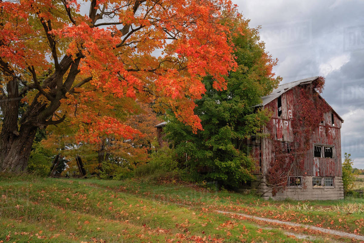 None - Stock Photo - Dissolve