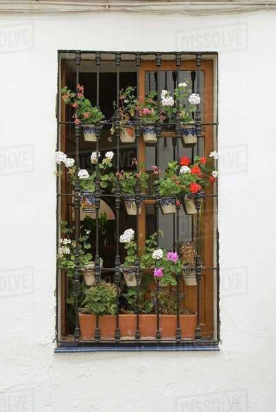 Security Grill And Flower Pots - Stock Photo - Dissolve