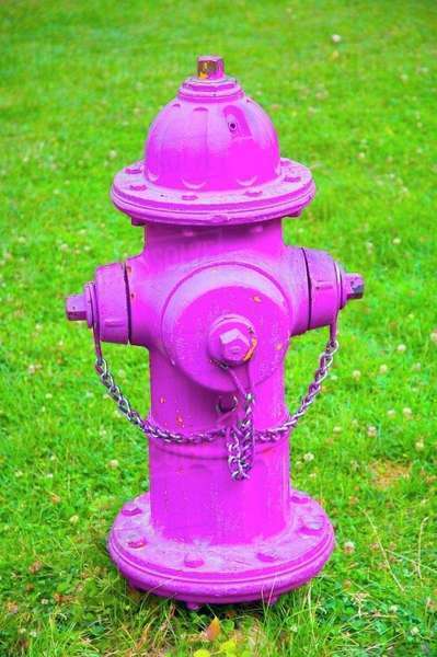 A Bright Pink Fire Hydrant - Royalty-free Stock Photo | Dissolve