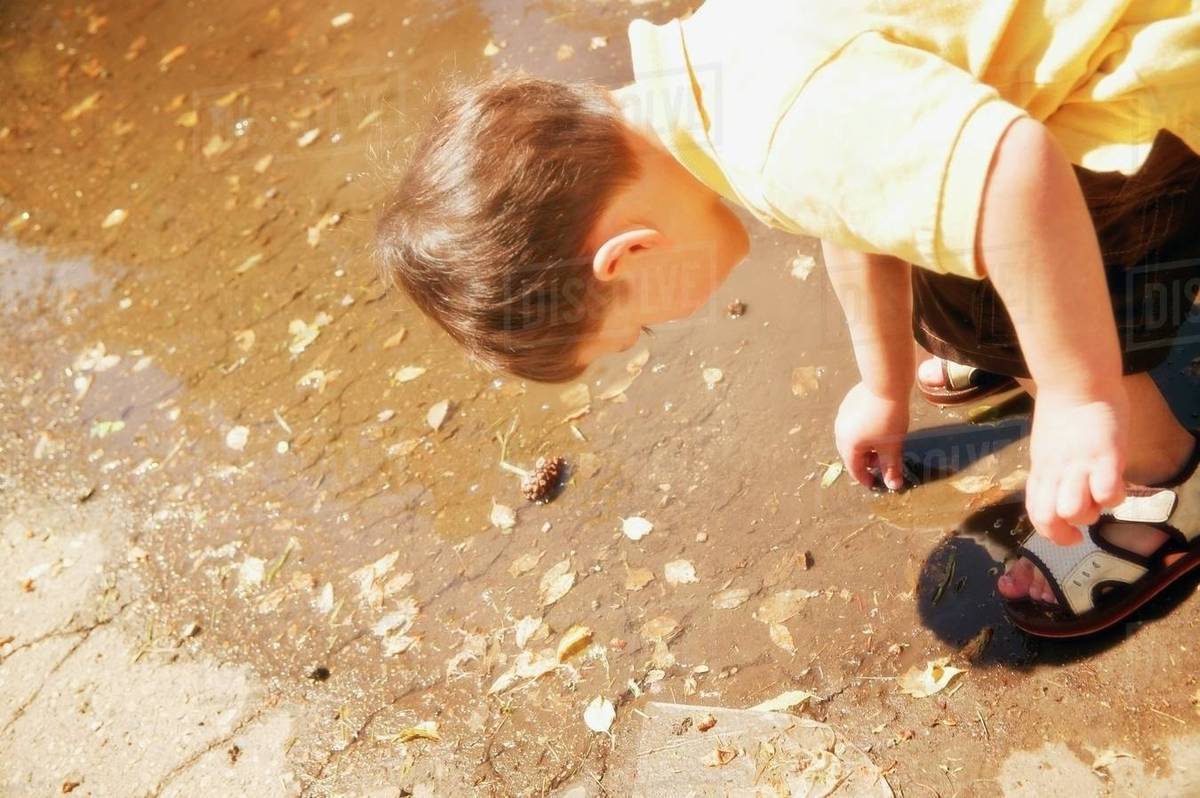 A Little Boy Shell Seeking - Royalty-free Stock Photo | Dissolve