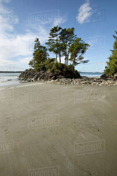 An Island At Tonquin Beach Along The Lighthouse Trail; Tofino, British ...
