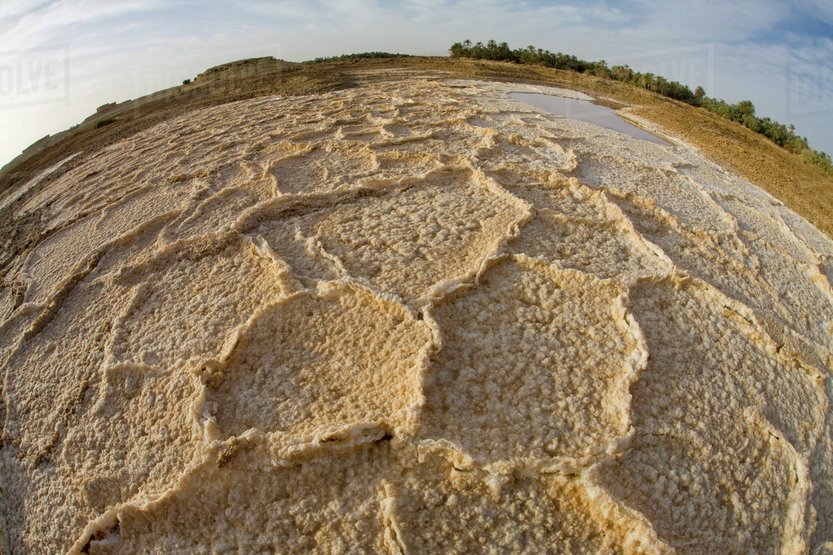Dried Salt Deposits From A Dried Up Water Source On The Outskirts Of ...