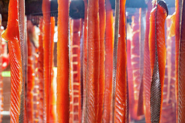 Filleted salmon strips hanging on a drying rack in a smoke house at a ...