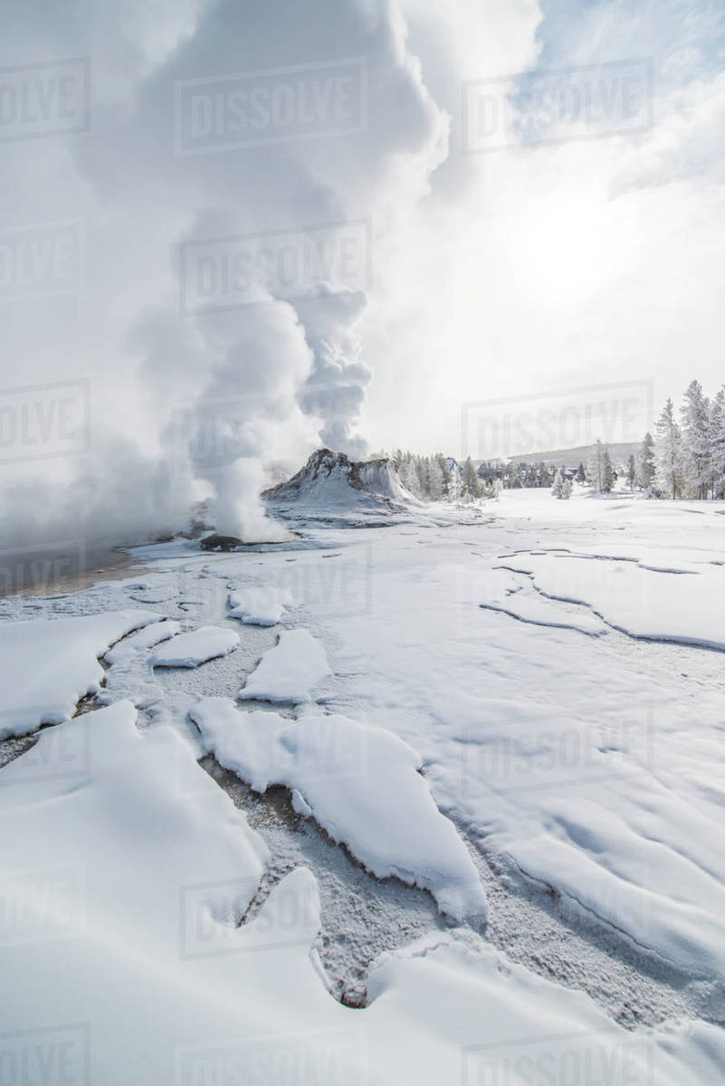 Grand Geyser erupting from the earth's crust releasing thermal steam ...