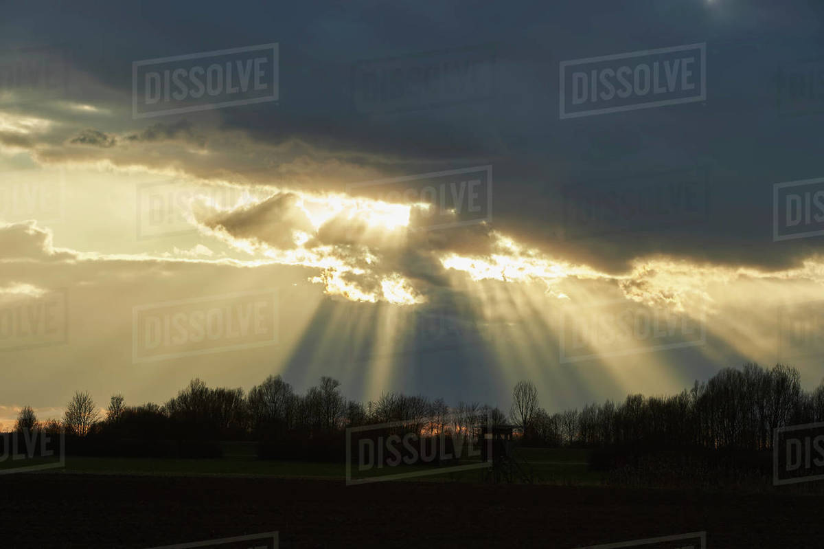 Rays of sunshine coming through dark clouds with silhouetted trees ...