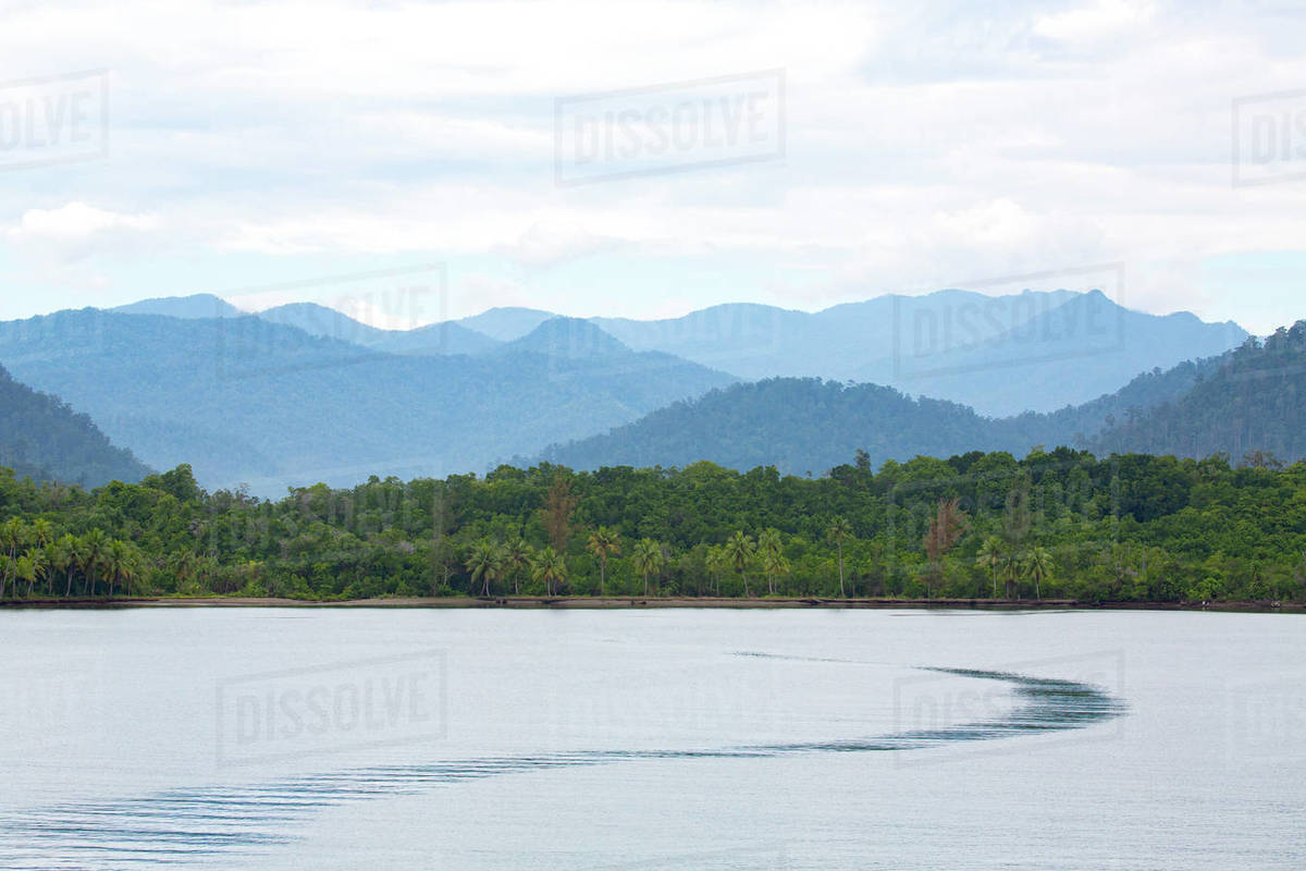 Jungle covered shoreline and hills along the shore of Morobe Bay ...