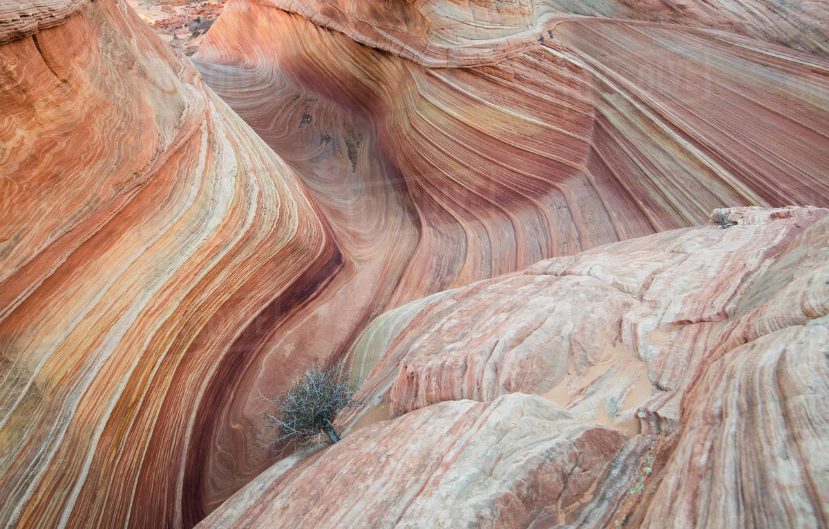 The Wave sandstone rock formation, located in Coyote Buttes North ...