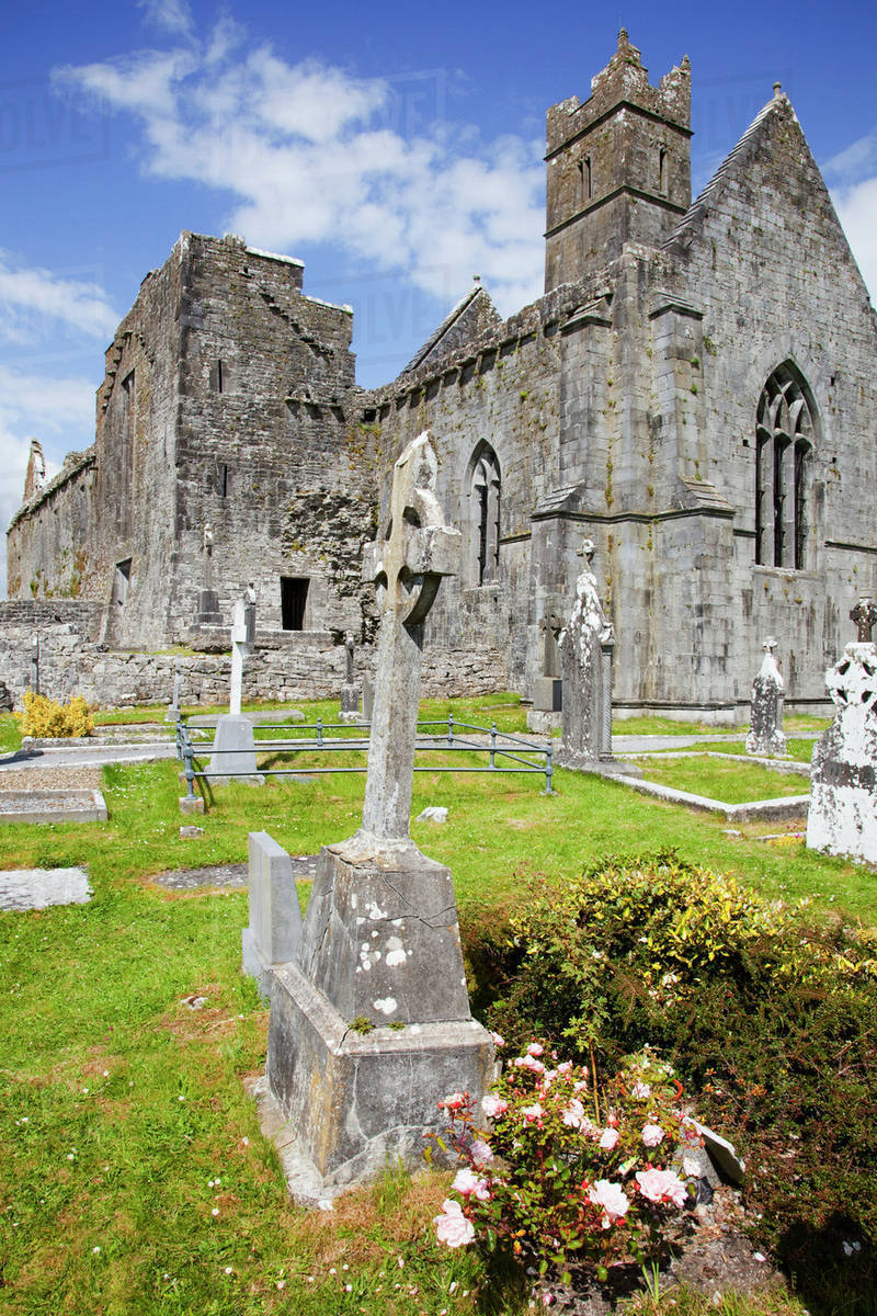 Flowers Beside A Burial Plot In A Cemetery At Quin Abbey; Quin County ...