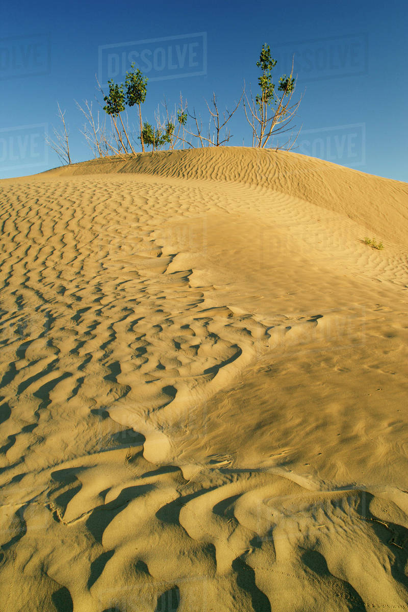 The Great Sandhills Near Sceptre, Saskatchewan - Stock Photo - Dissolve