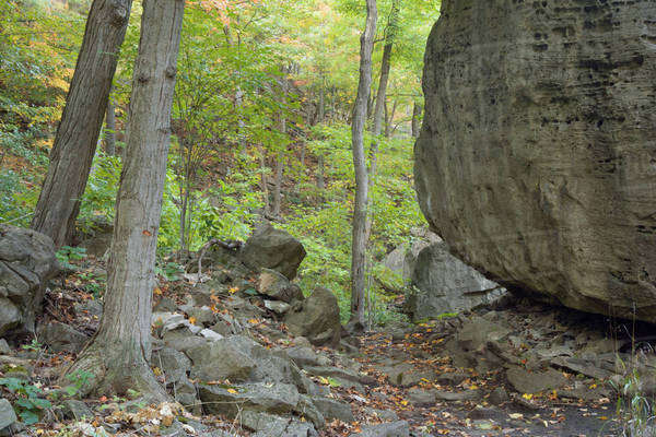 Niagara Glen Nature Reserve - Niagara Falls Ontario, Canada - Stock ...
