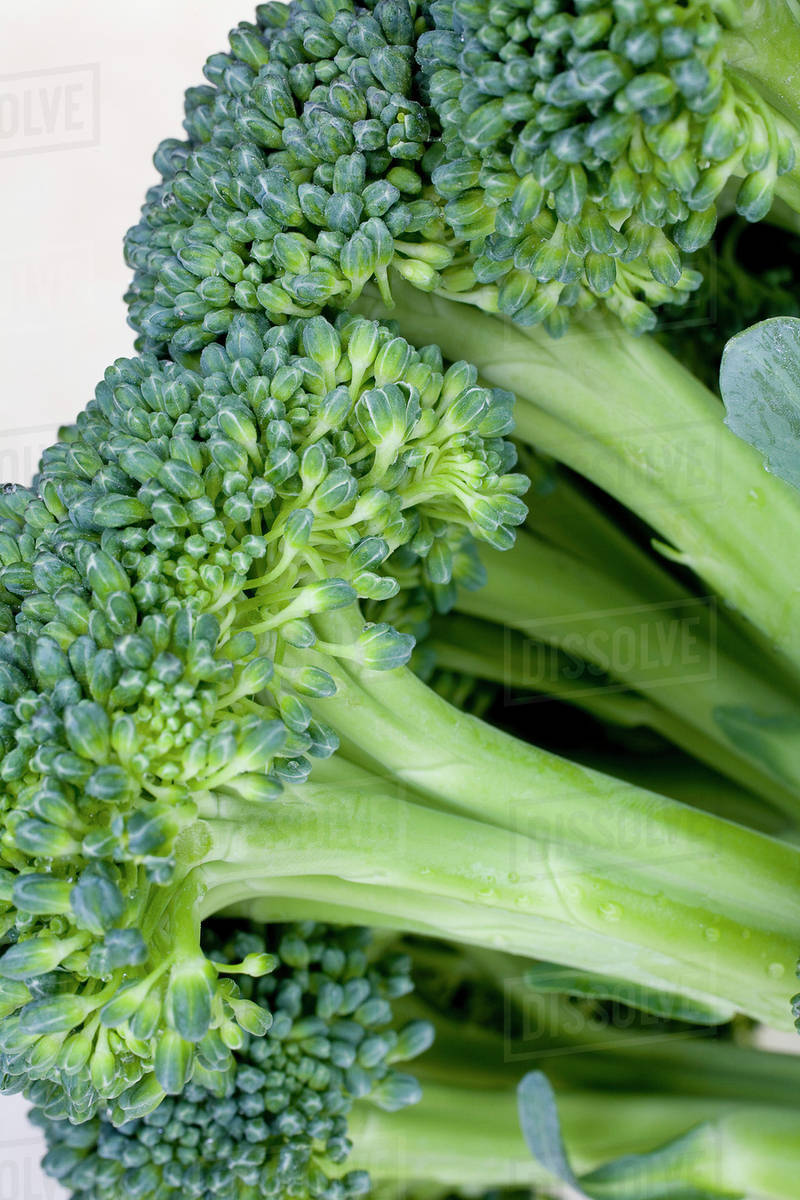 Close-Up Of Broccoli - Royalty-free Stock Photo | Dissolve