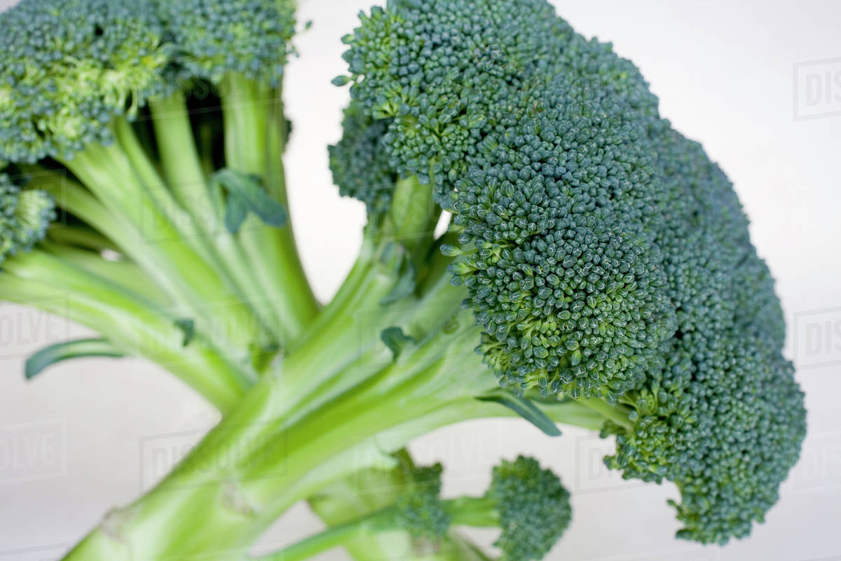 Two Bunches Of Broccoli - Royalty-free Stock Photo | Dissolve