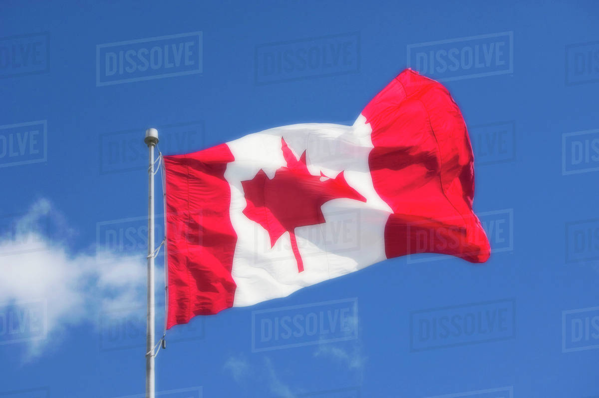 Canadian Maple Leaf - National Flag, Halifax, Nova Scotia - Stock Photo ...