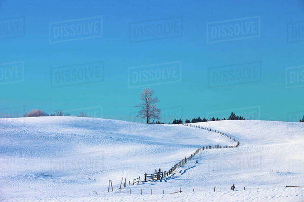 Snow Covered Fields And A Blue Sky; Parkland County, Alberta, Canada ...