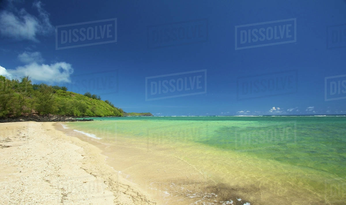 A white sand beach along the coast of an hawaiian island;Pilaa kauai ...