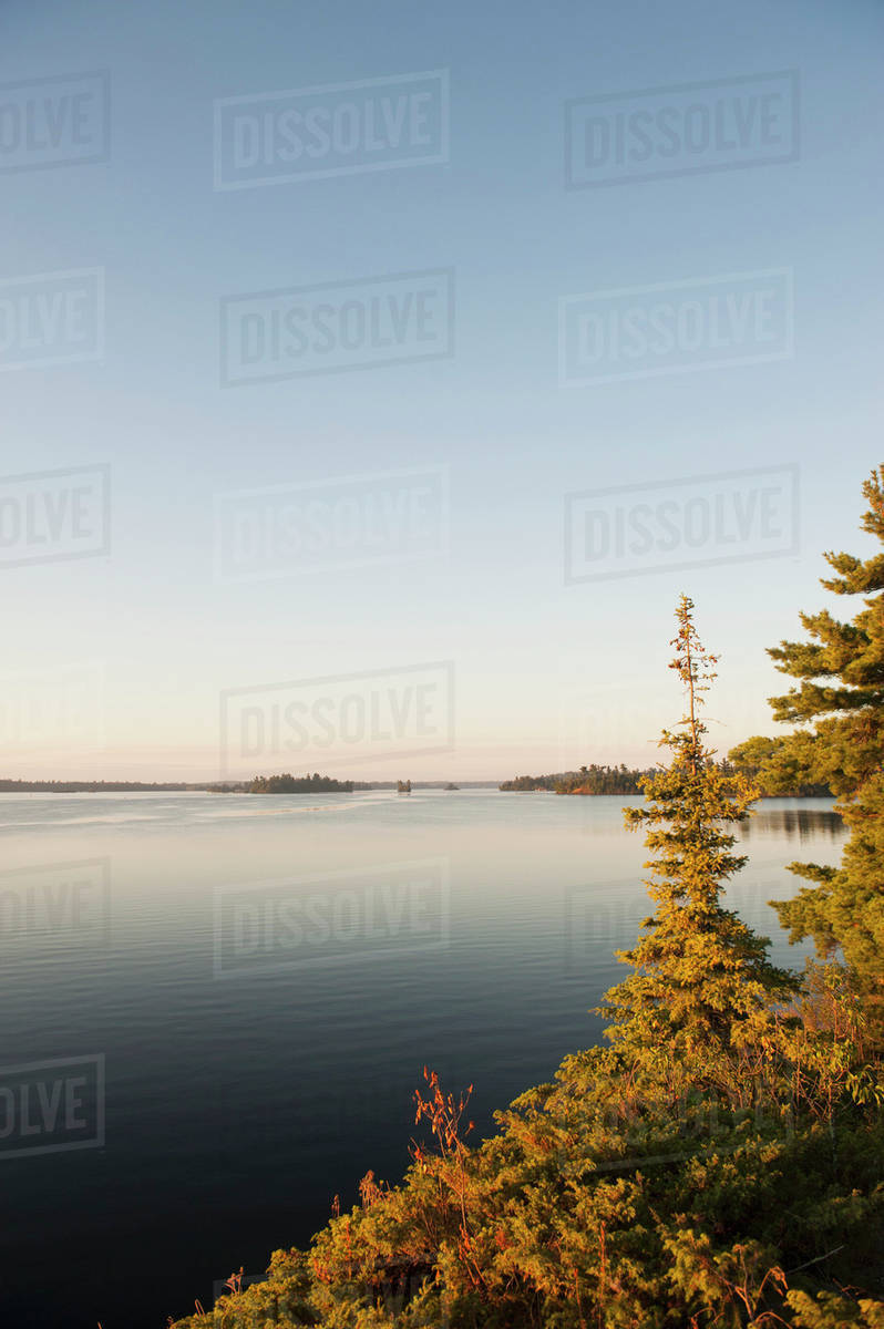 Lake view with trees at sunset on lake of the woods; kenora ontario ...