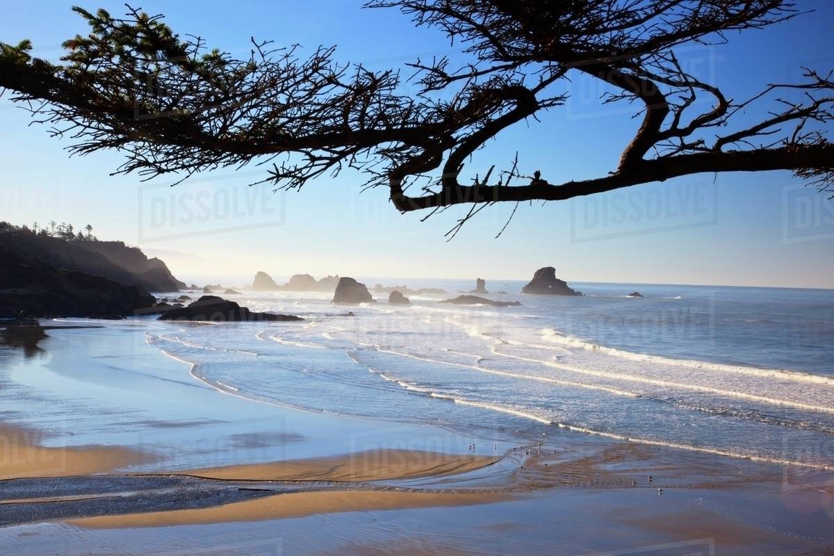 Sunrise On Indian Beach; Oregon, United States Of America - Royalty ...