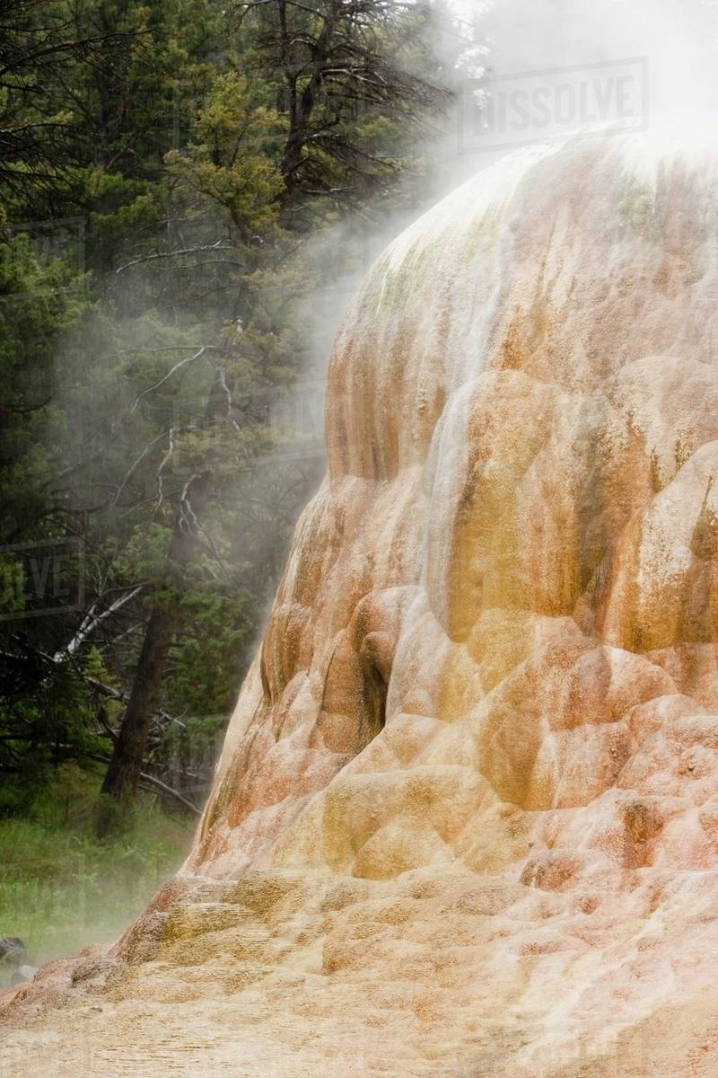 Orange Spring Mound At Mammoth Hot Spring Is An Active Hot Spring ...