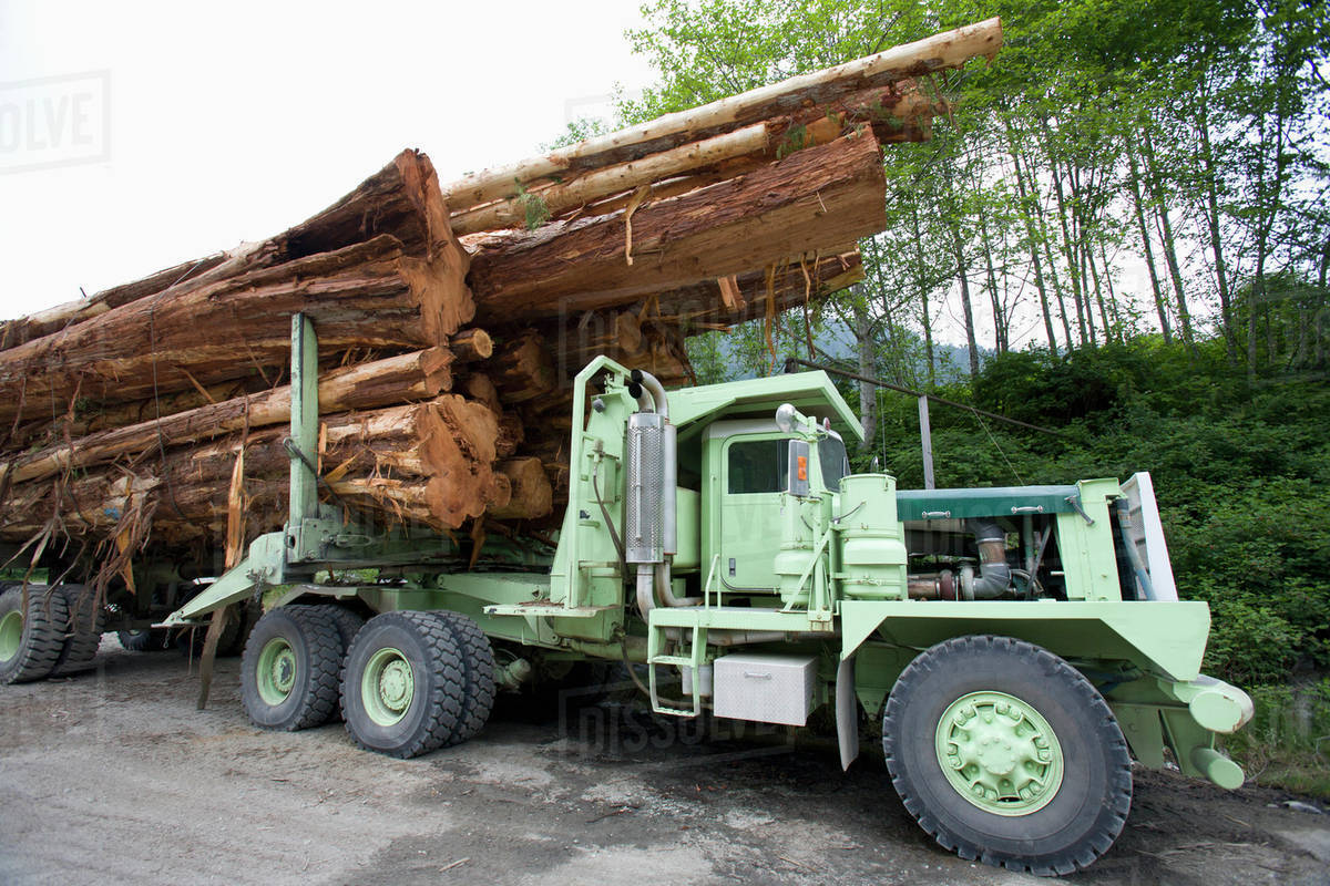 A Logging Truck Stacked With Cedar Logs Sits Near Cougar Annie's Garden ...