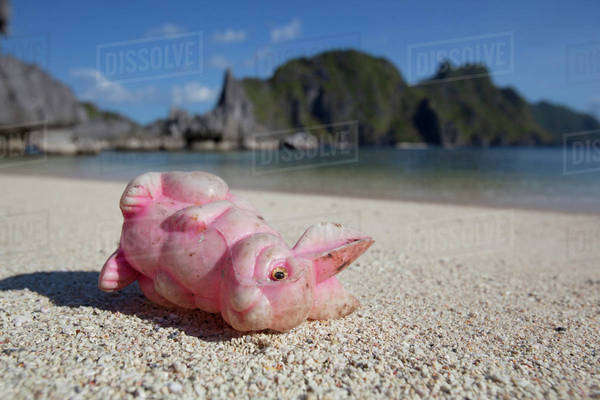 A Pink Plastic Rabbit Toy Washed Up On Beach; Tapiutan Island, Palawan ...