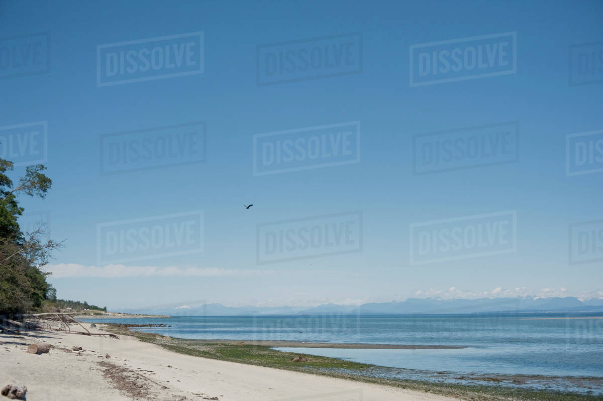 Kin Beach Provincial Park; British Columbia Canada - Royalty-free Stock ...